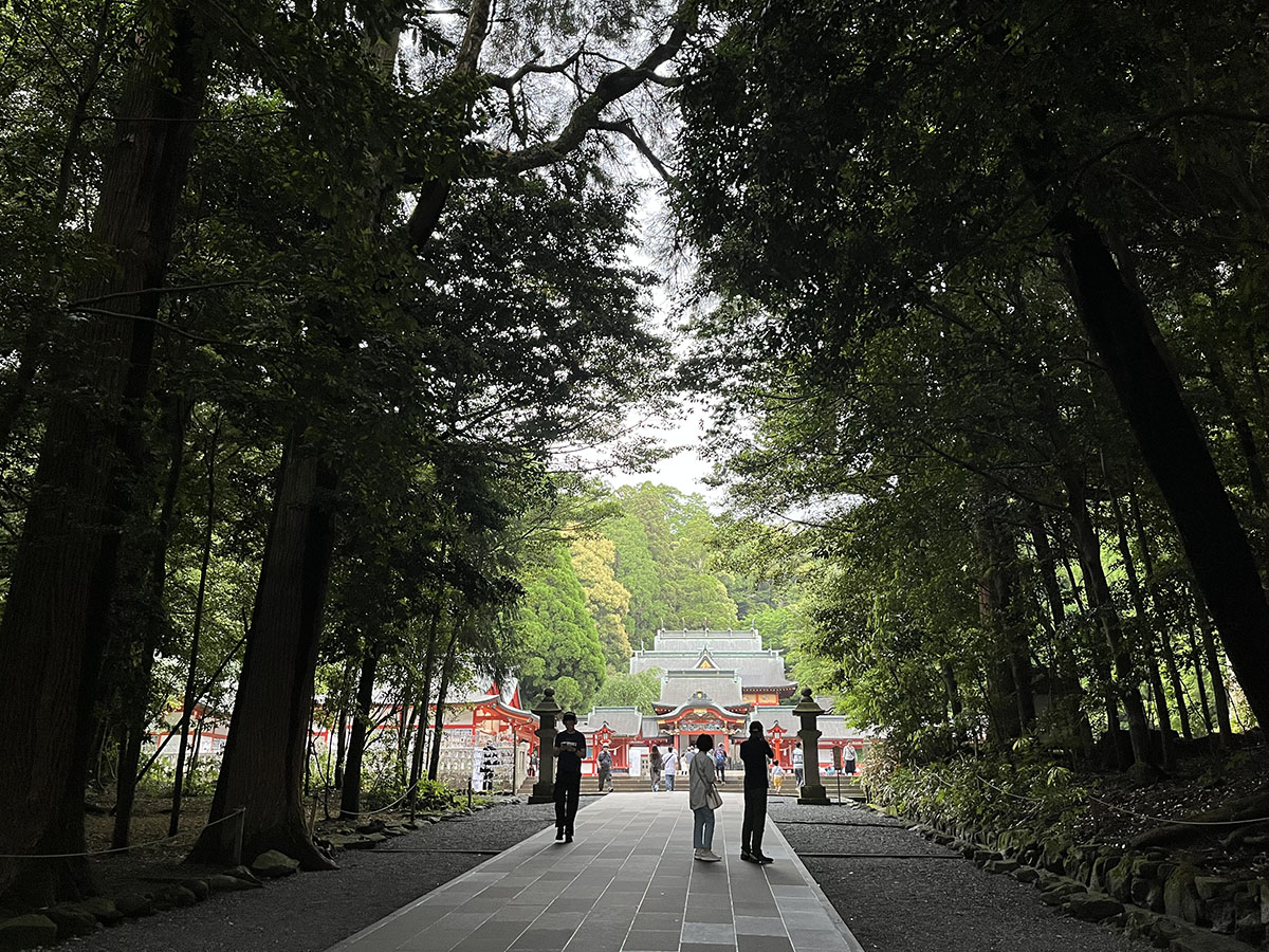 いのちのたび博物館、気づけば2時間！見どころありすぎな展示ボリュームでした – tsutachi.co